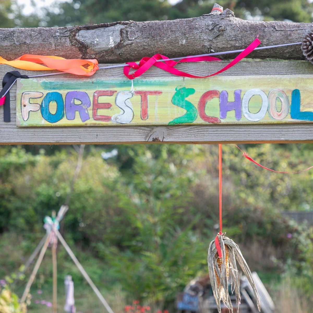 Dean Park Nursery - Forest School at Dean Park